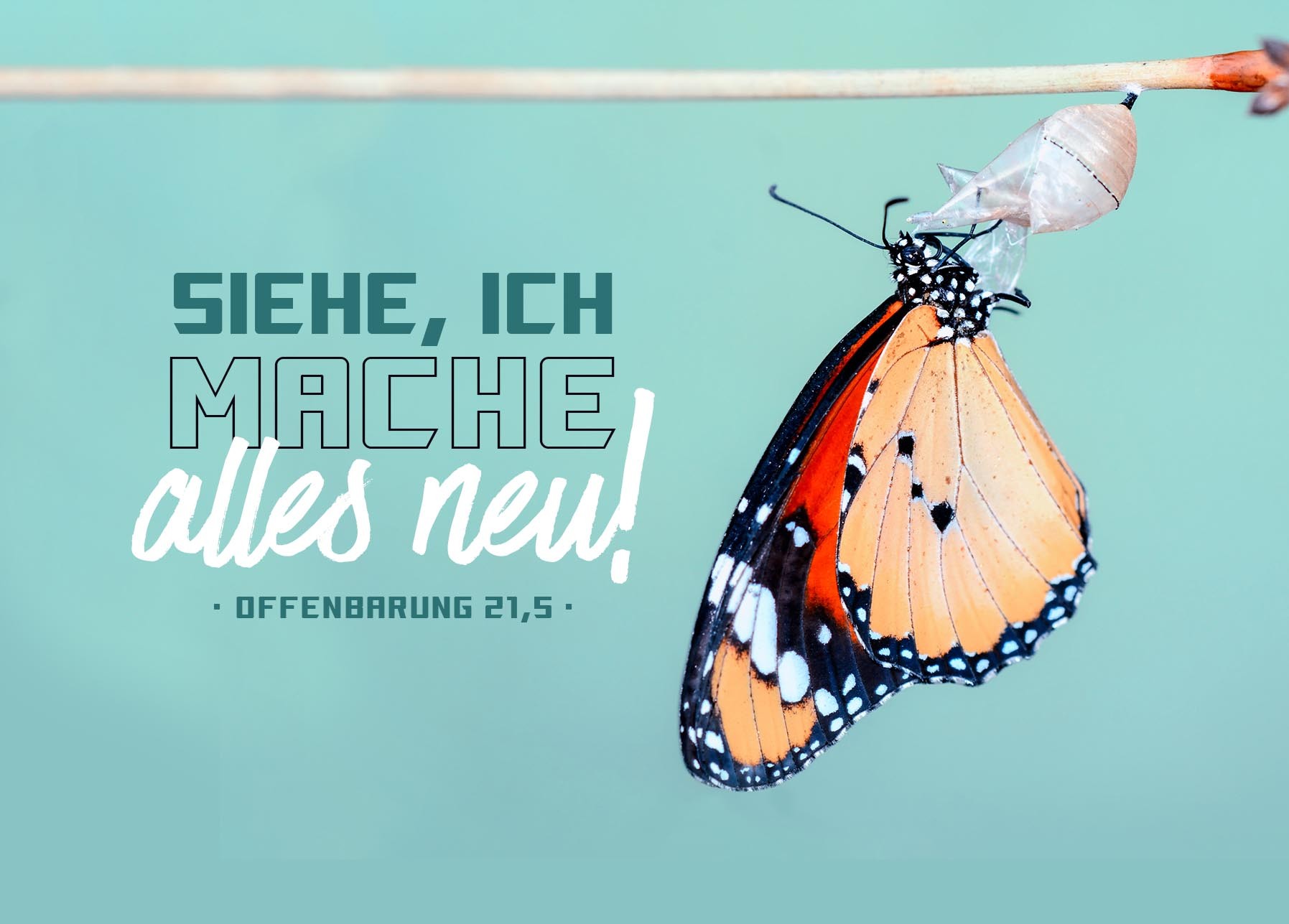 Karten für Themen & Anlässe sortiert | SegensArt